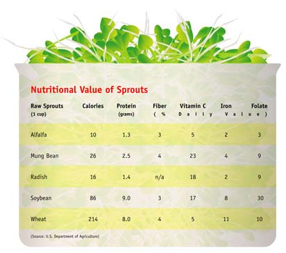 SPROUTS - A VERY HEALTHY OPTION | A holistic approach to pediatric care ...