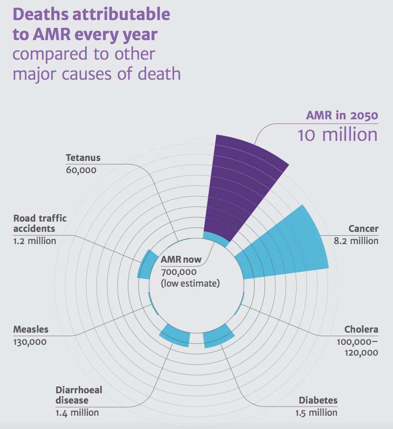 DEATH FROM ANTI MICROBIAL RESISTANT (AMR) BACTERIA | A holistic ...
