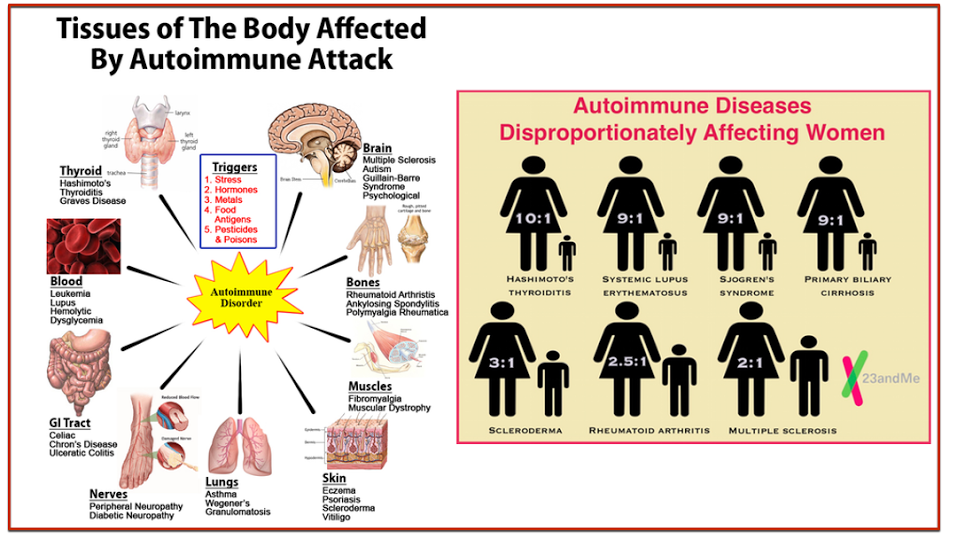 AUTO IMMUNE DISEASES | A holistic approach to pediatric care in Frisco ...
