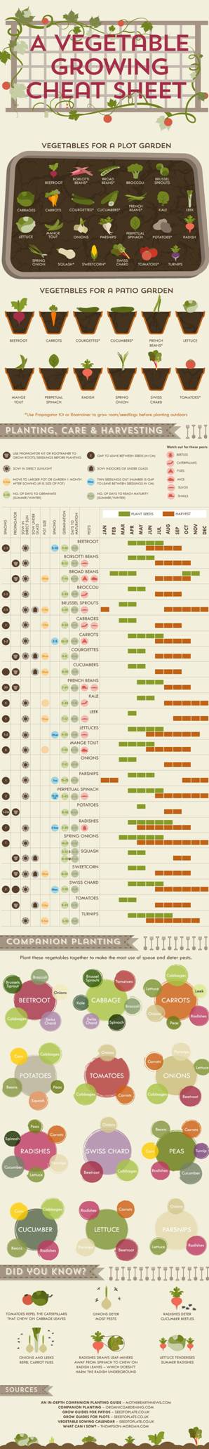 VeGGIE GARDEN - CHEAT SHEET | A holistic approach to pediatric care in ...